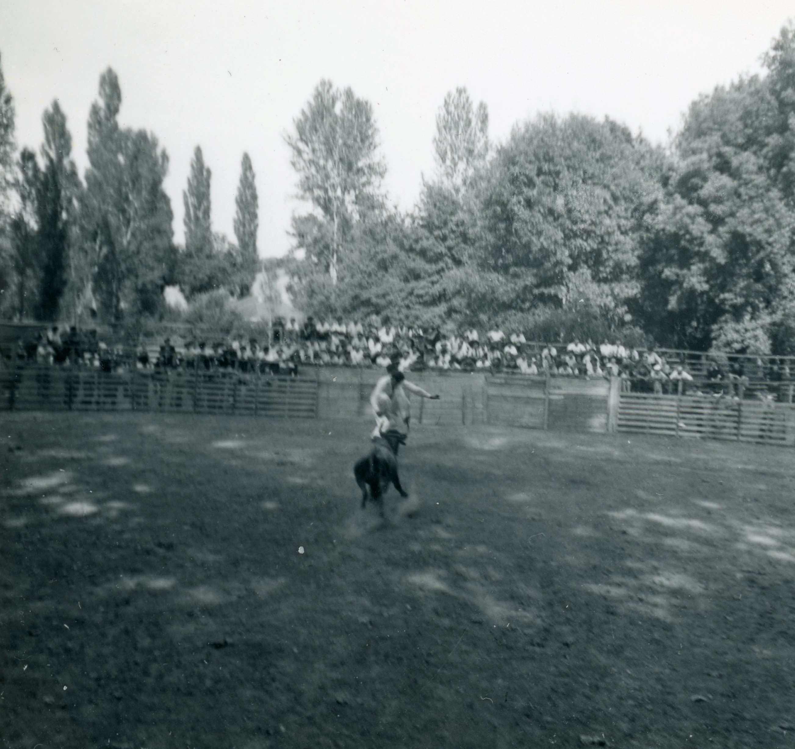 Une course à Barbotan (32) en 1950 – La course landaise et son patrimoine